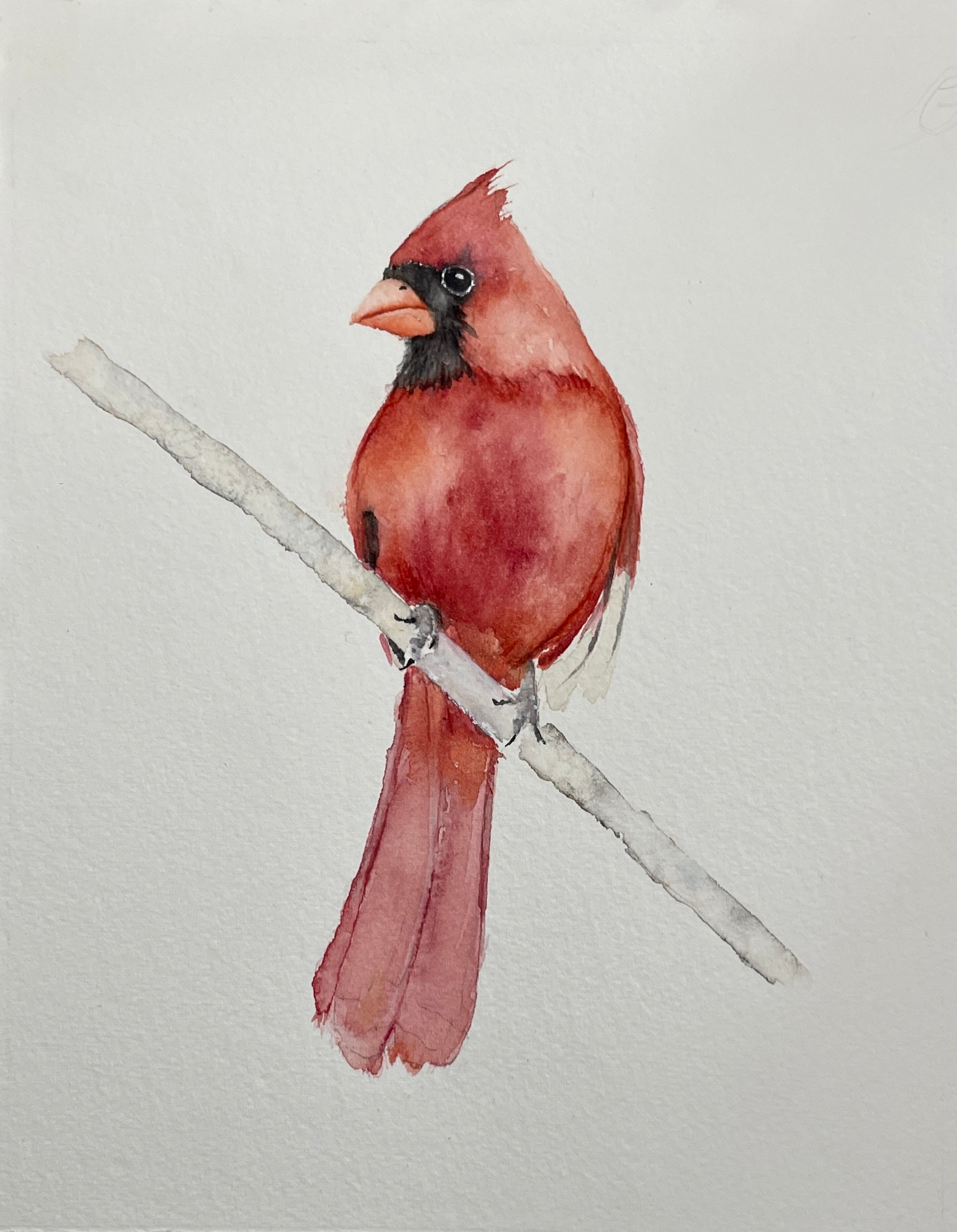 Cardinal – Leah Potts Art